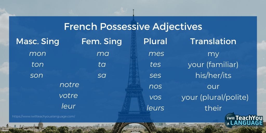 French Possessive Adjective Chart